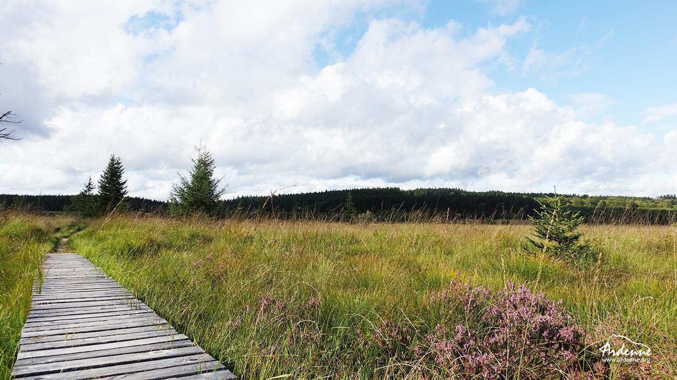 Promenade randonnée tourisme Hautes Fagnes - Ardenne.org