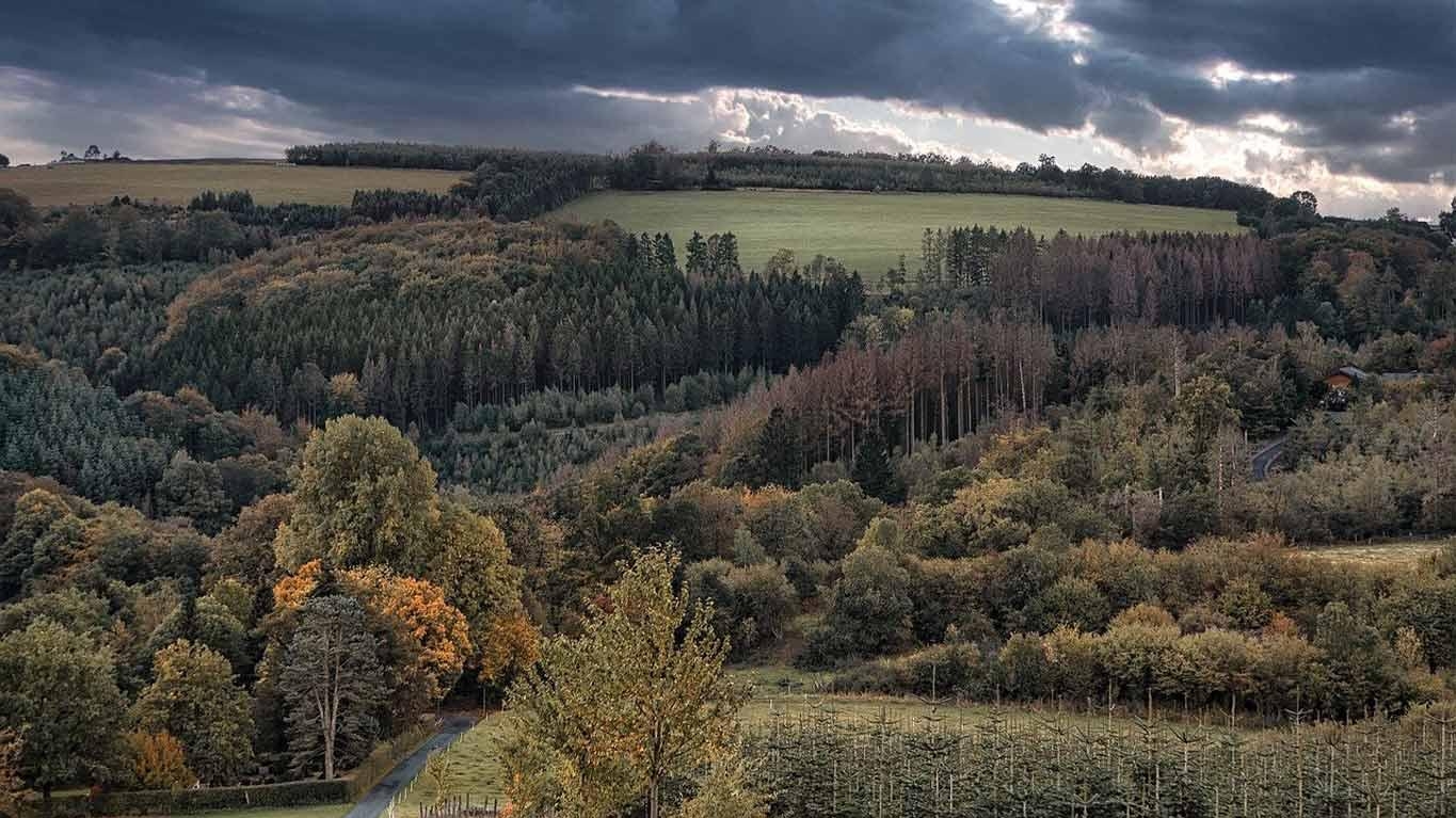 Balade guidée: Sur les crêtes de Houyet - Houyet - Ardenne.org